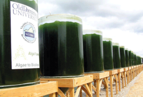 Conical Tanks - Aquaculture Solutions